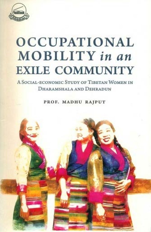 Occupational mobility in an exile community a social-economic study of ...